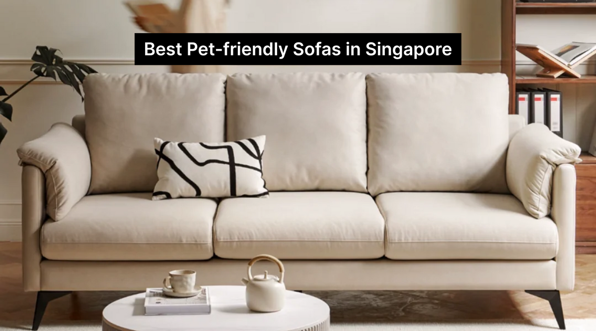 Best Pet-Friendly Sofas in Singapore | Leathaire Scratch-Resistant – IUIGA